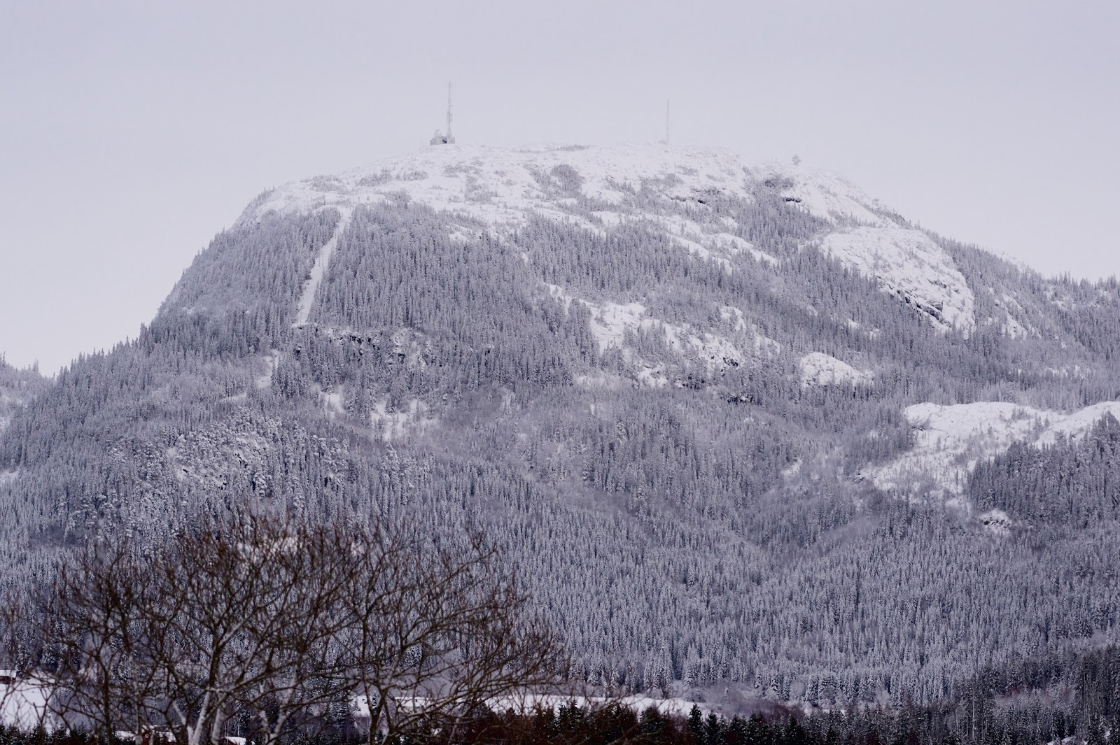 Naturfoto Einar Hugnes: februar 2016