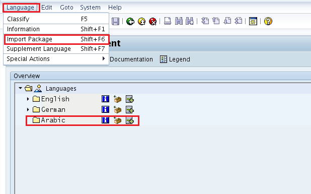 Supercharge Your SAP Basis Skills: Installation of Languages on SAP systems