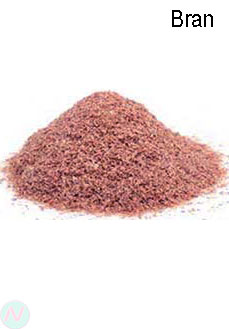 Grain / Cereal Crops Names Meaning & Pictures | Necessary Vocabulary ...