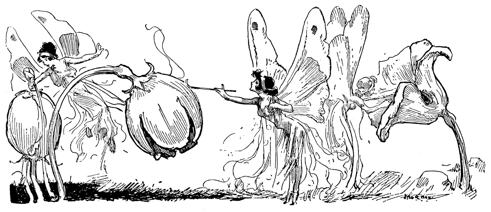 The John R. Neill Collection