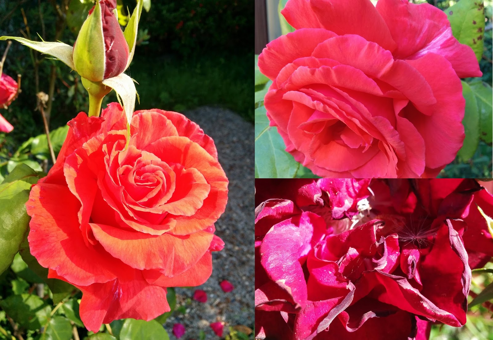 PurposeWorks Studio: Learning to Understand What You See