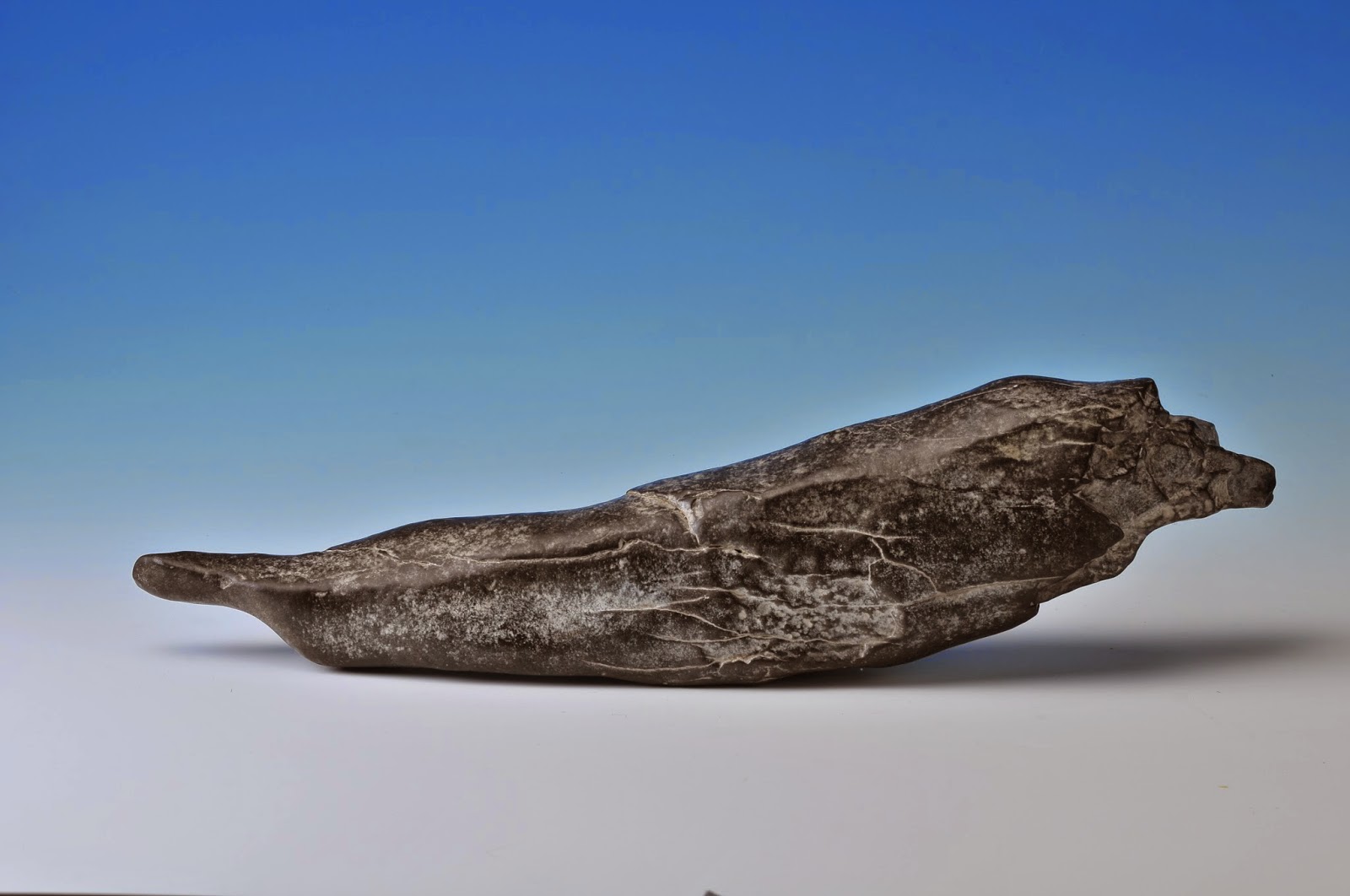 Archaeology of Portable Rock Art: A fossilized carved ivory horse ...