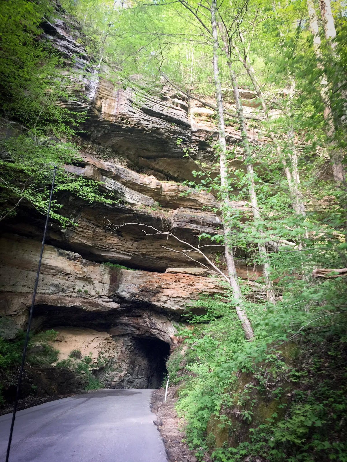 5 Star Cabin's Natural Bridge Red River Gorge Blog