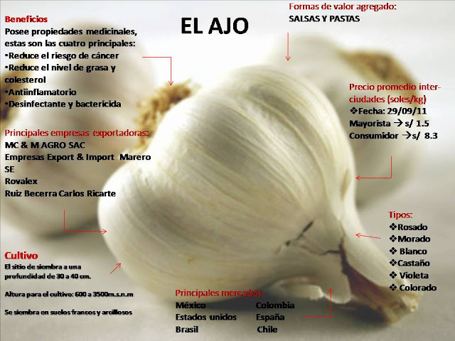 INFOGRAFIA DEL AJO | Agropecuaria ATC.