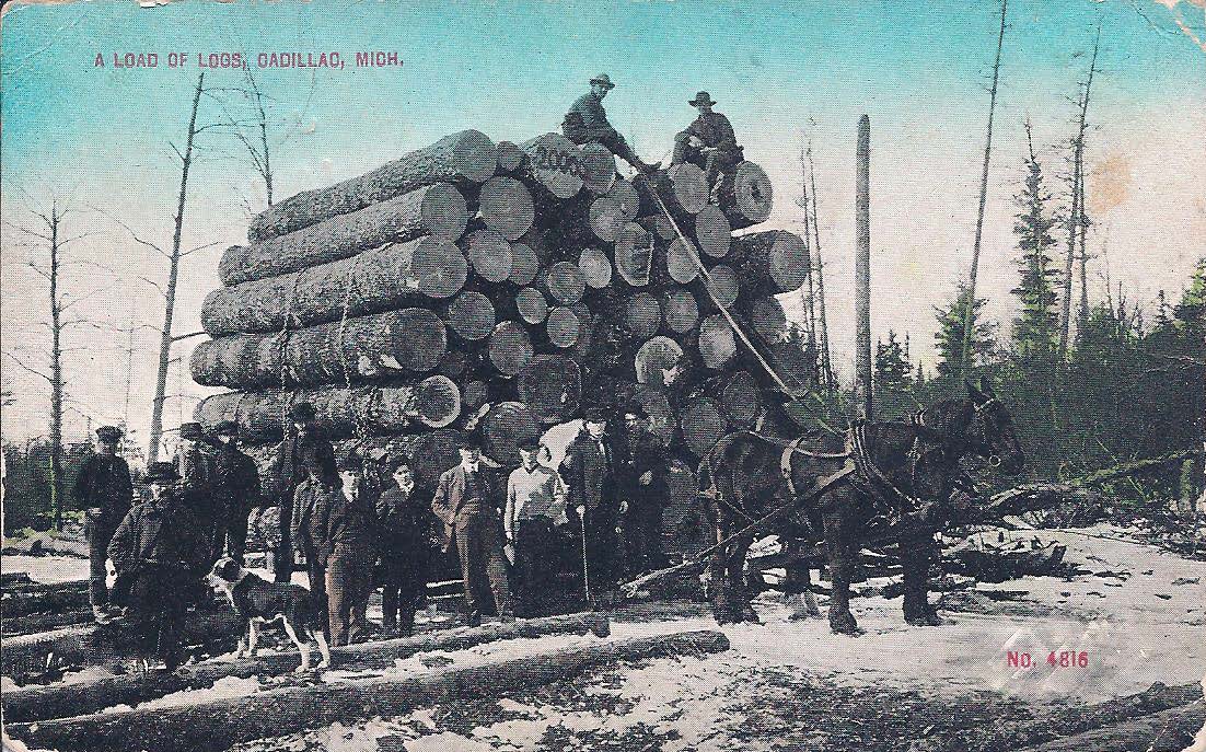 Isabella Conservation District Environmental Education Program: Days ...