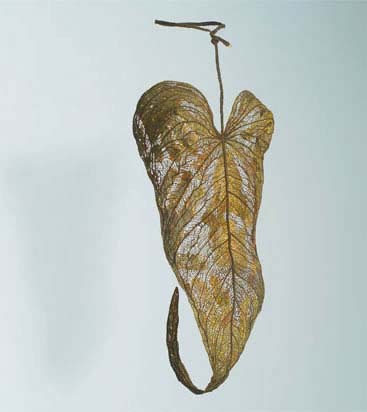 Wen Redmond: Creating Thermal Fax Images using Photoshop Options