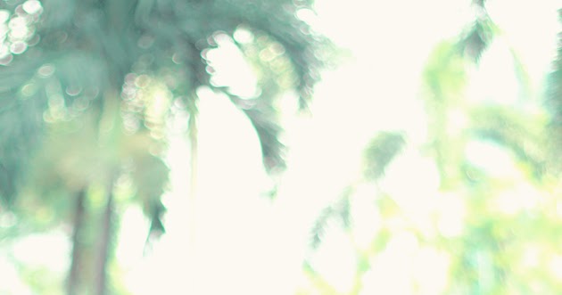 Brown Platform: Dignity combo