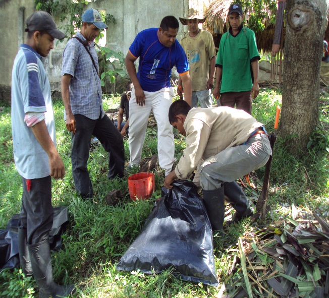 Pecuaria sena heliobeth: ELABORACIÓN DE ENSILAJE: SILO BOLSA Y DE ...