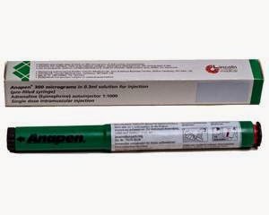 FARMAKOPOIOI: Συνταγογράφηση ANAPEN 150mcg & ANAPEN 300 mcg ...
