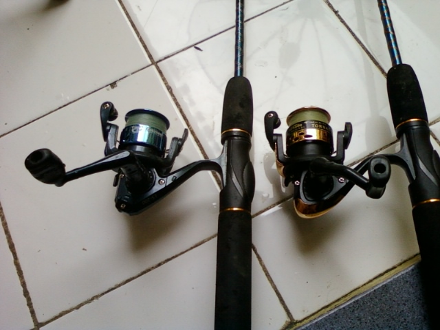 Still Gowesss...: STRIKE MANCING