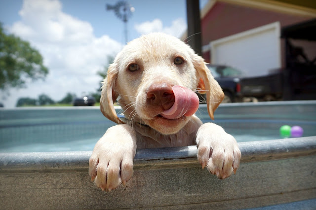 * Little House in the Country: Byyeeeee Summerrrrrrr!