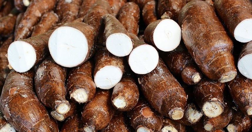 Les Bienfaits du Manioc