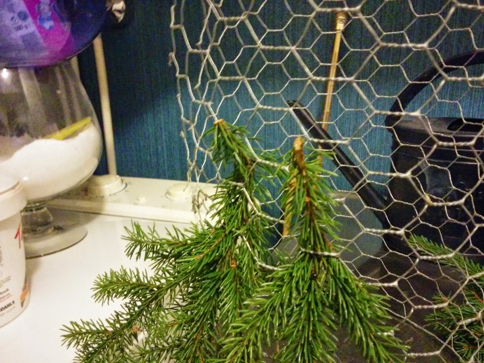 Ida Lillqvist: Gran tomte