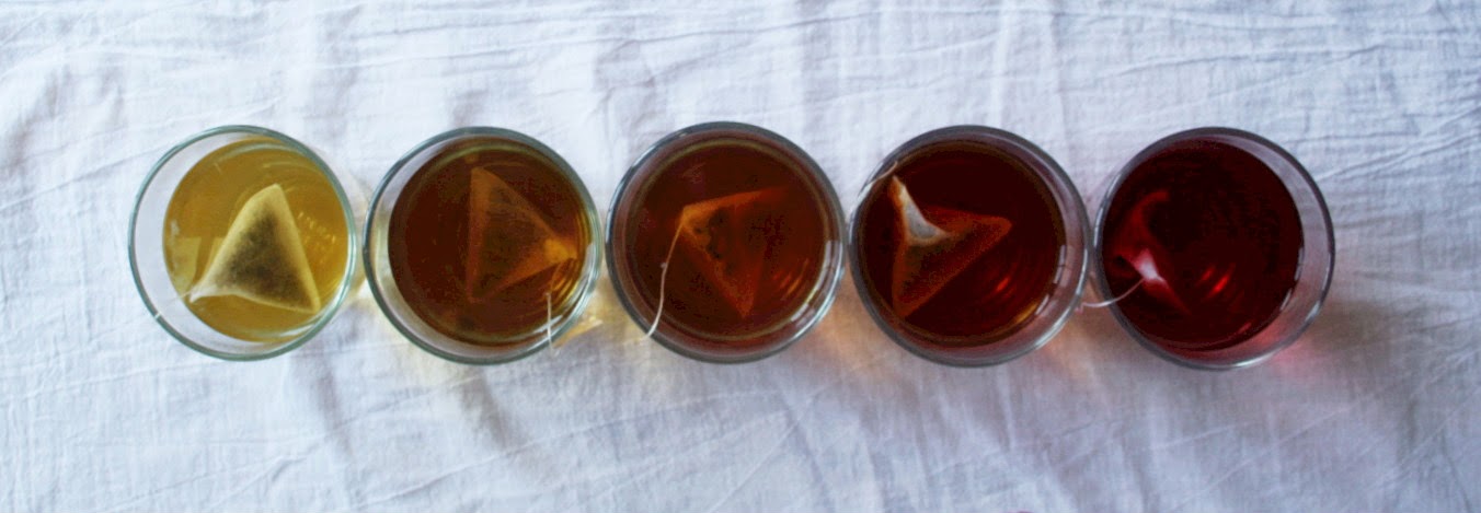 PG Tips Fruit & Herbal Tea