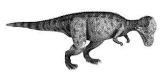 Los animales en la prehistoria: Animales prehistóricos con la letra F