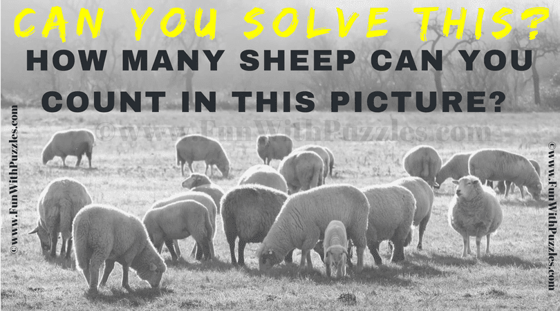 Simple Visual Puzzle to Count the Sheep with Answer