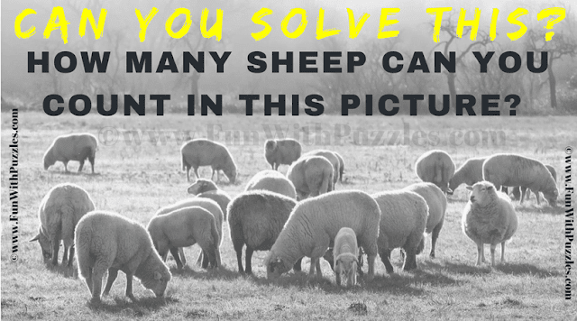 Simple Visual Puzzle to Count the Sheep with Answer