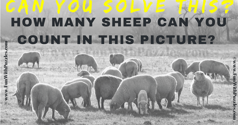 Simple Visual Puzzle to Count the Sheep with Answer