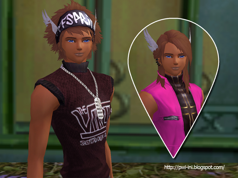 Cleric Male - Winged Elf |Perfect World ini Files & Presets