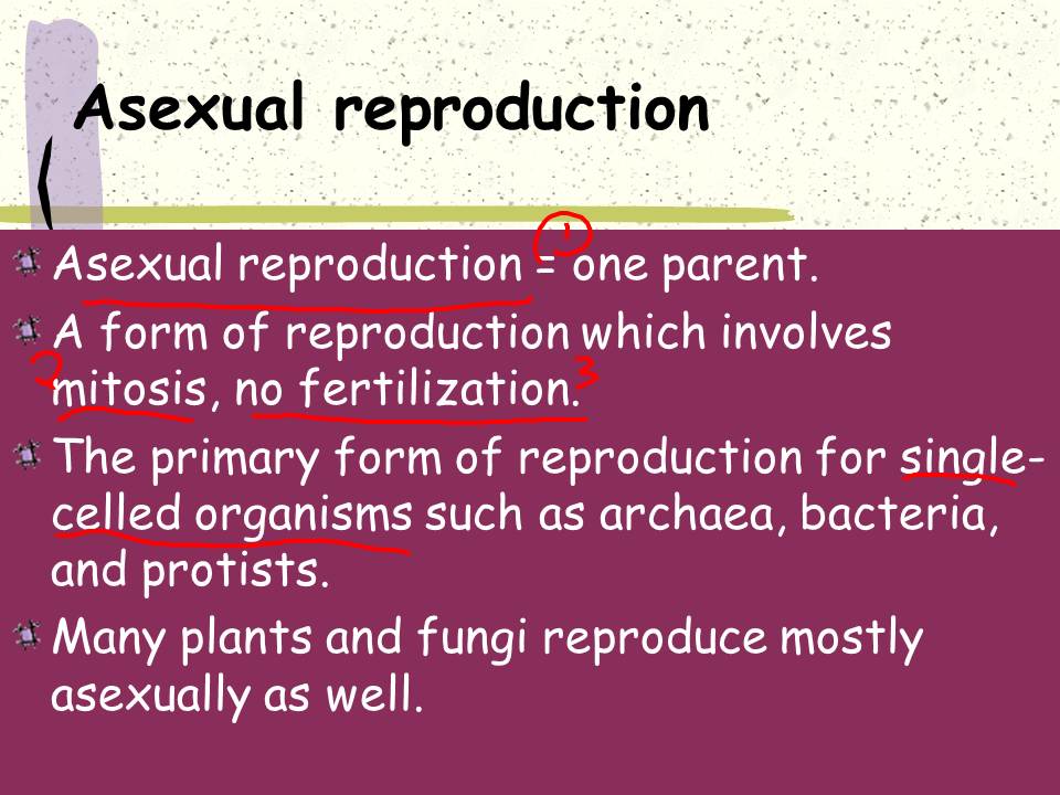 Sandoval's Awesome Science: Asexual and Sexual Reproduction