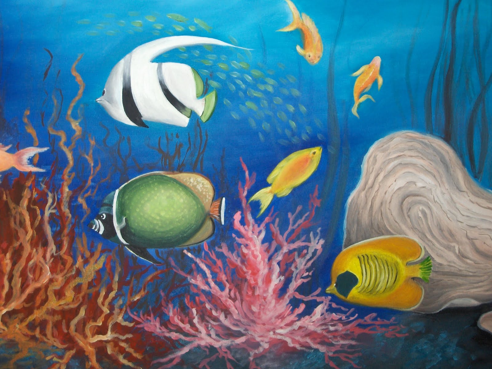 Immagini Di Fondali Marini