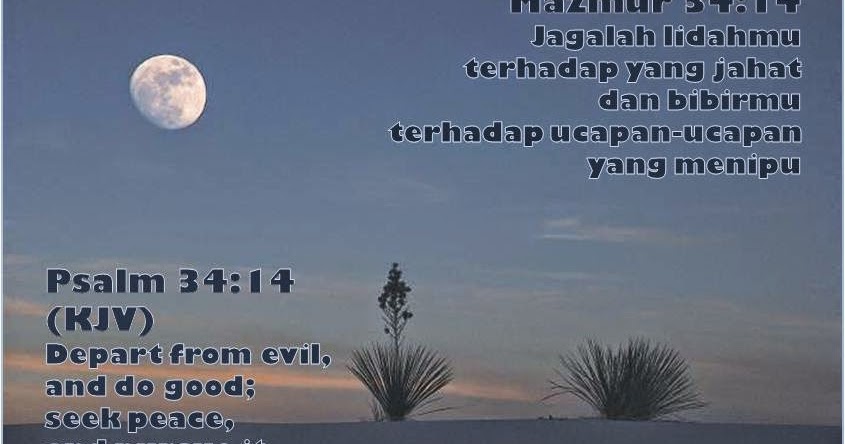 Pesan Injil: Kitab Bijak : Kitab Mazmur