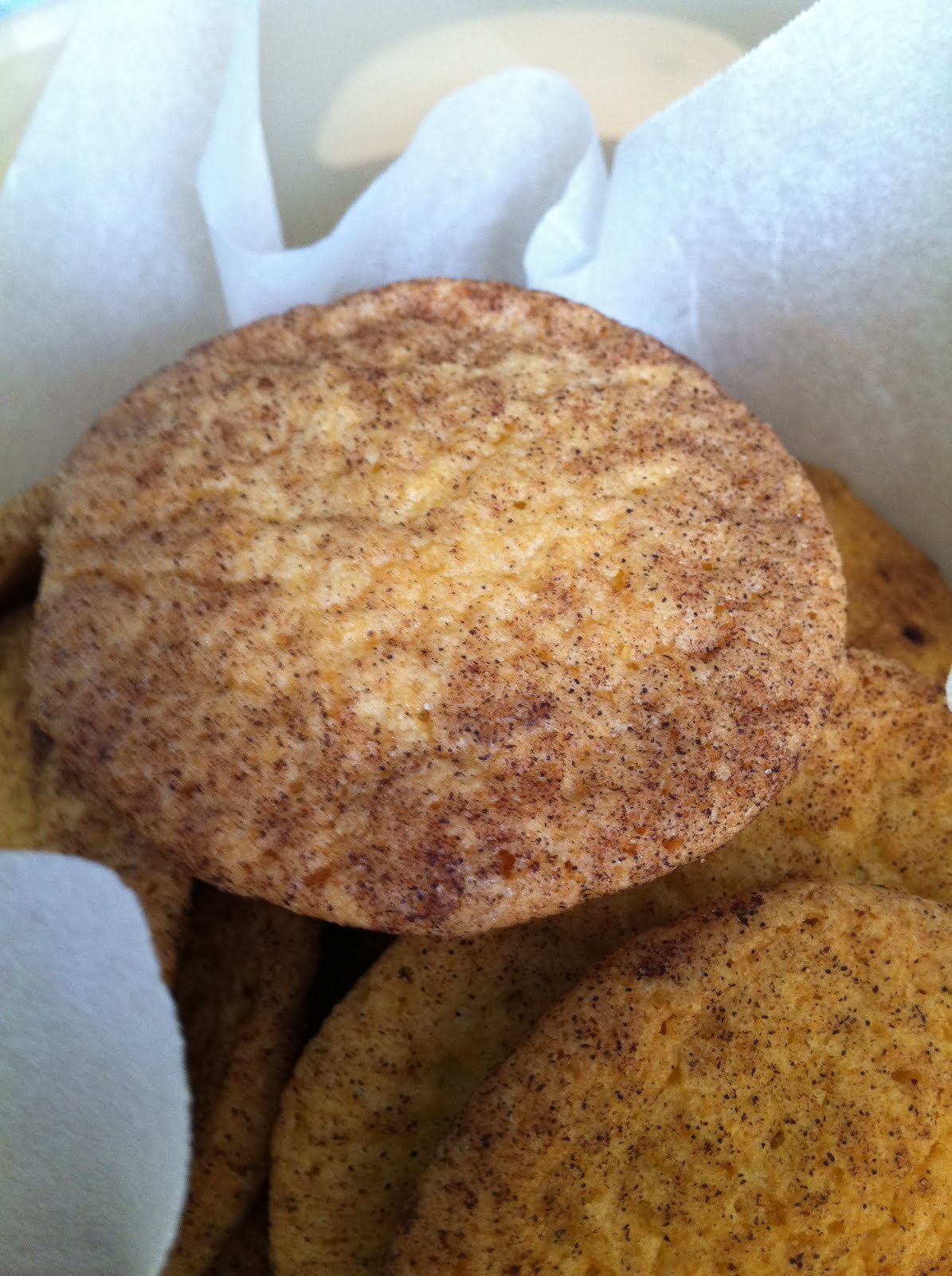 LuthAdel's Kitchen: Snickerdoodle Cinnamon Coated Cookies