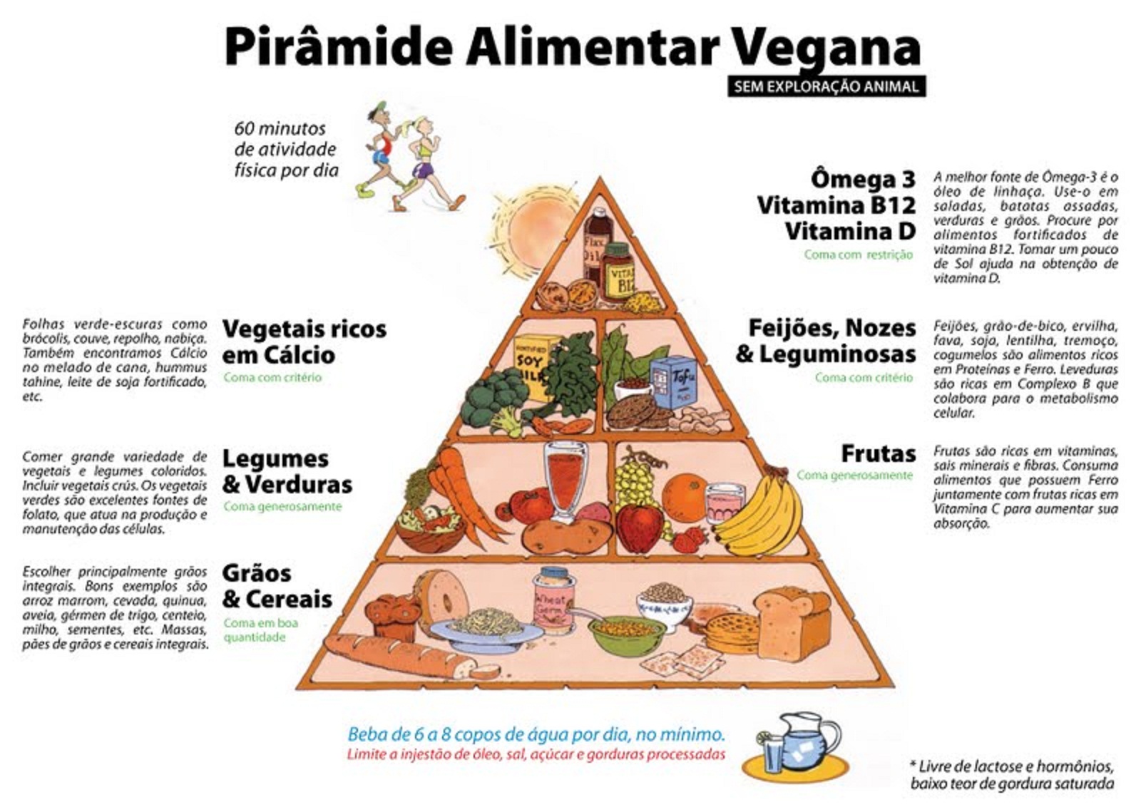 Universo dos Alimentos²: Nutrientes numa Dieta Vegetariana