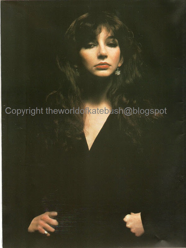 THE WORLD OF KATE BUSH: A Visual Documentary (Book)
