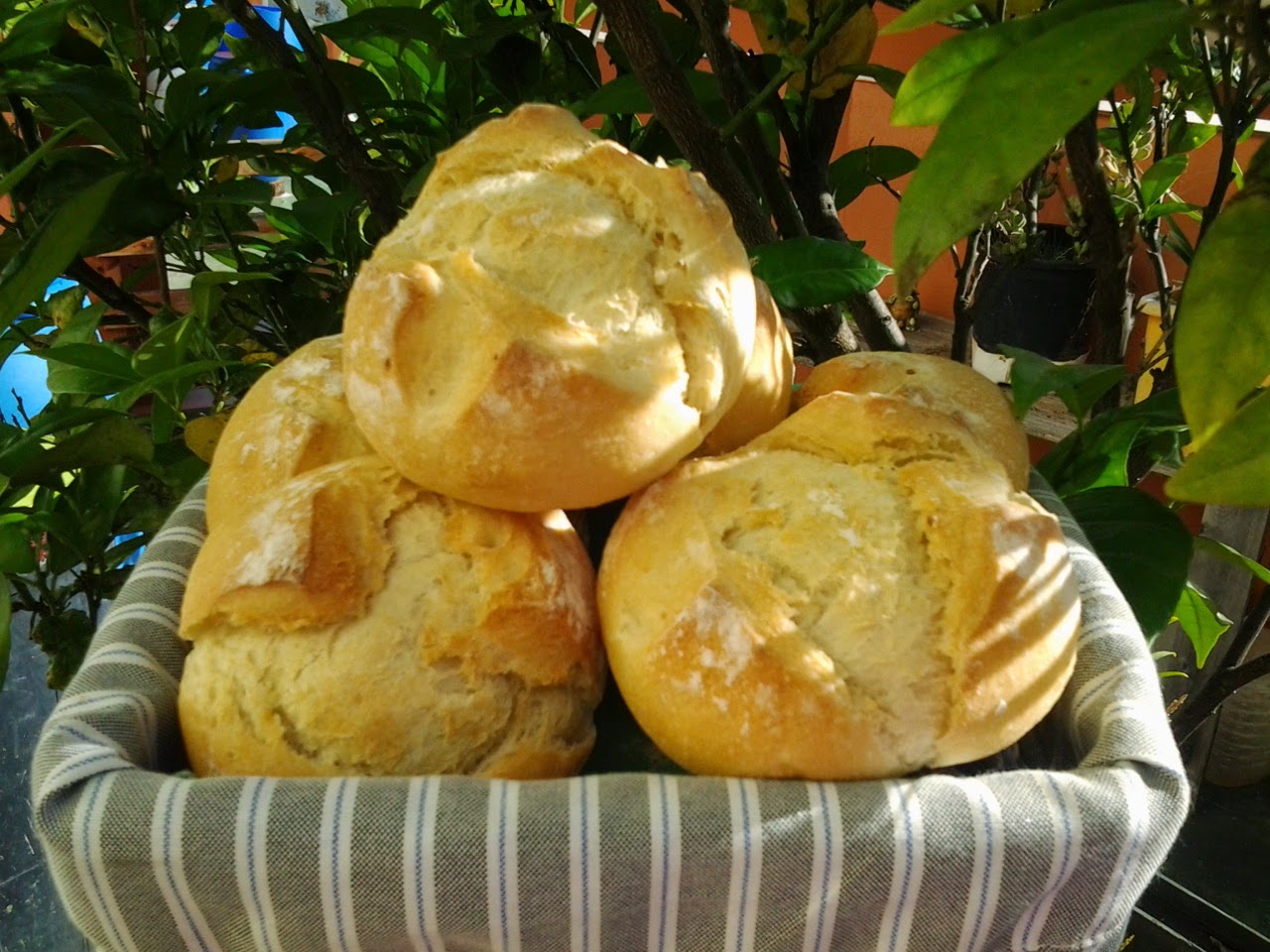 Secretos de Cocina, Enyesques y Algo más.: ¿HACEMOS PAN?