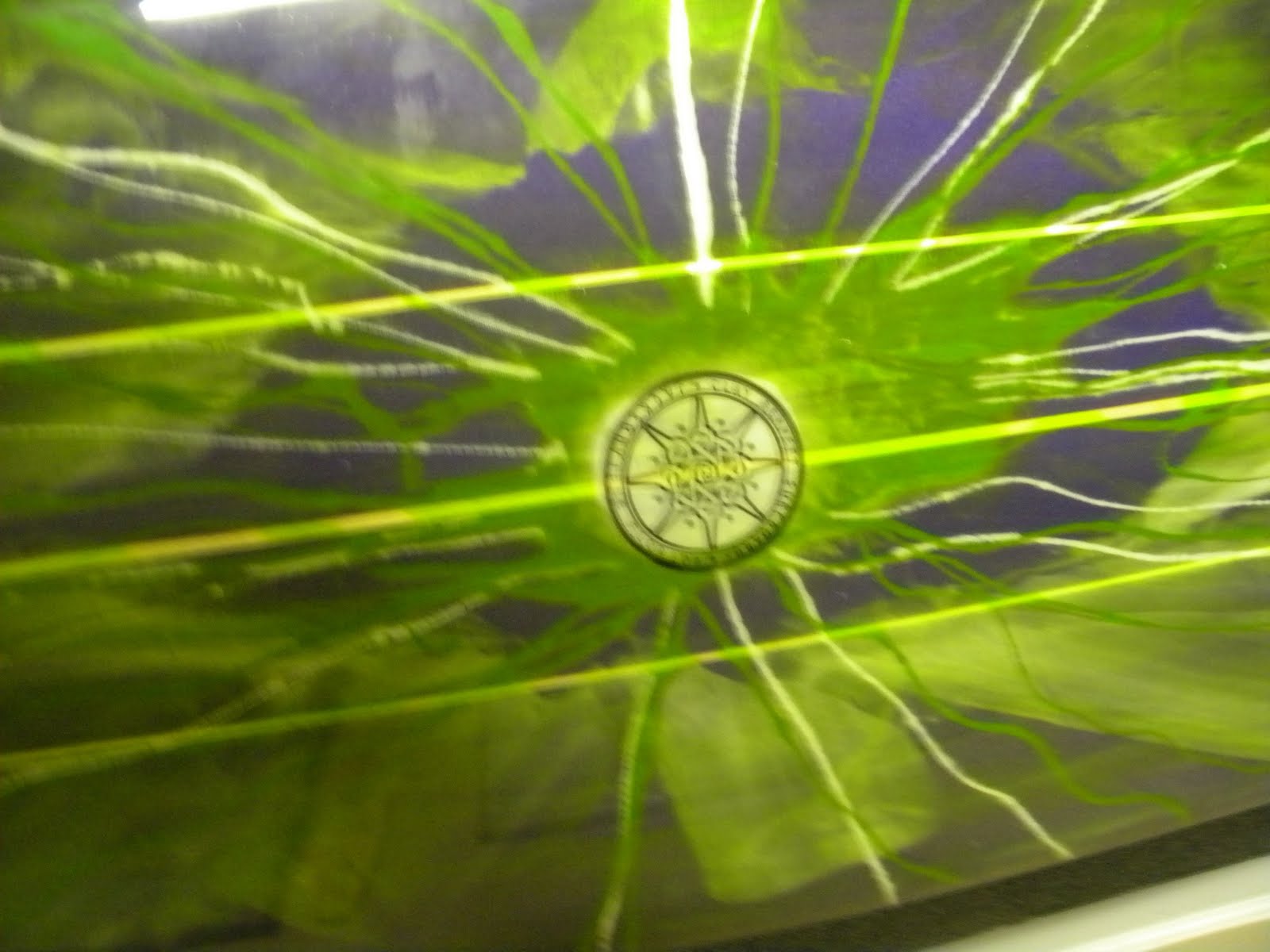 clay bennett handmade surfboards