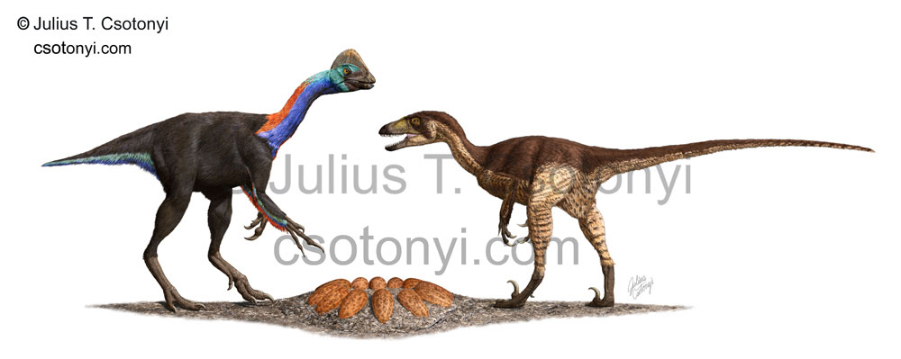 Species New to Science: [Paleontology / Ootaxa • 2008] Montanoolithus ...