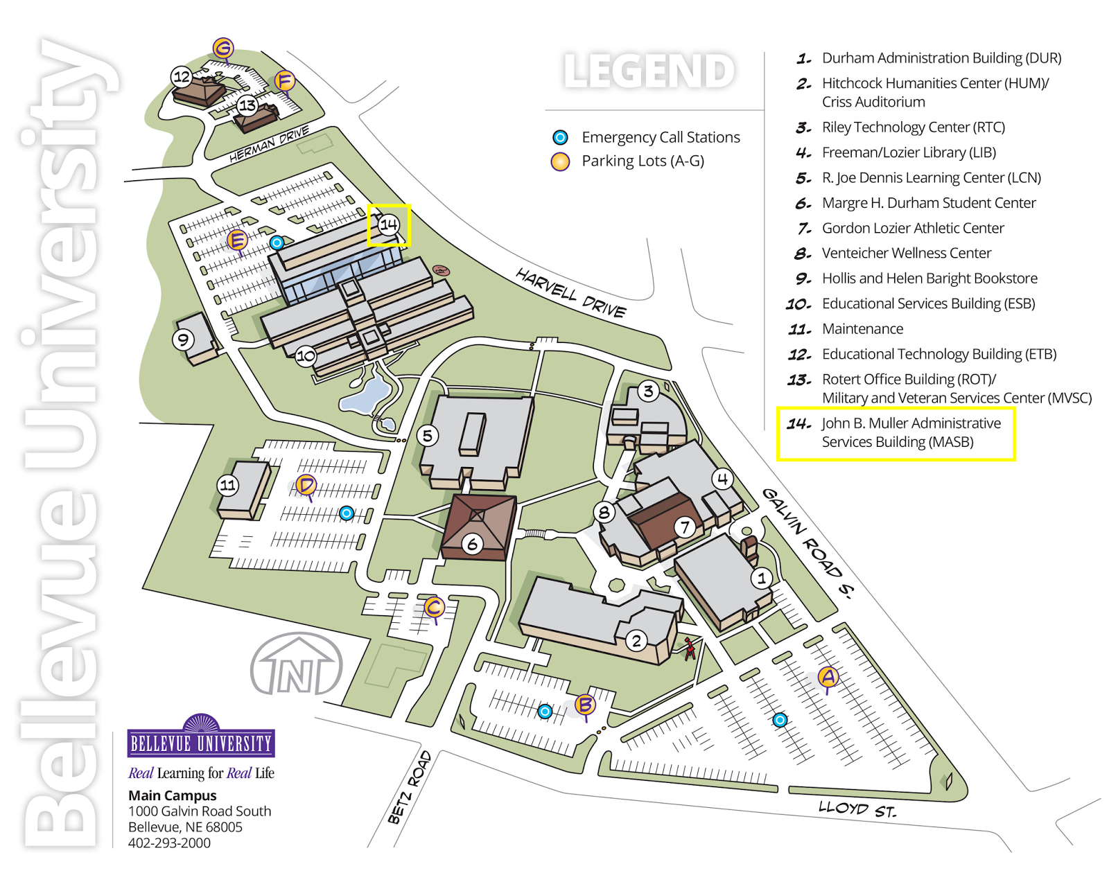 Bellya: Bellevue Public Library Town Hall Meeting! ♚ - The Bellya ...