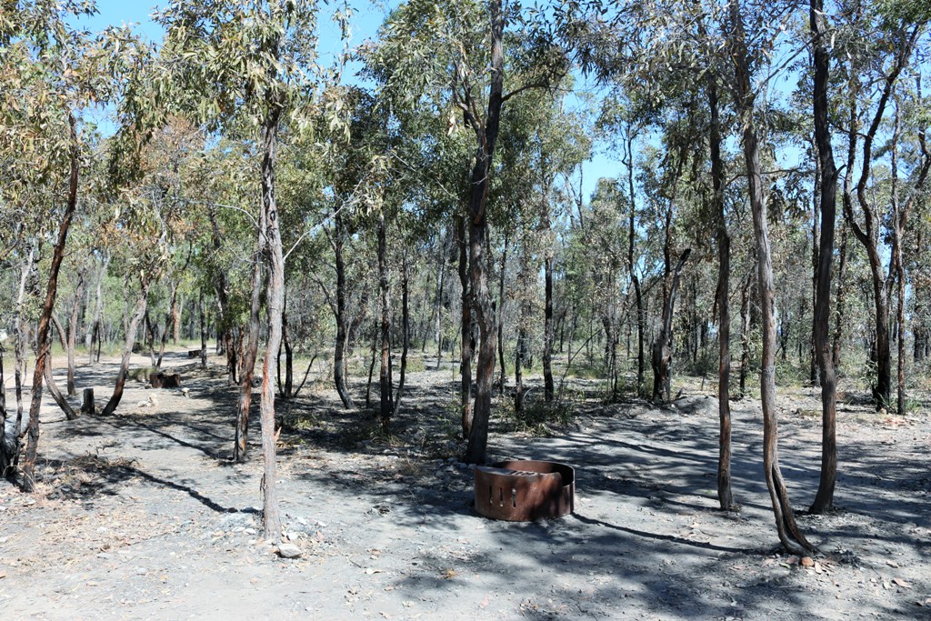 National Park Odyssey: Isla Gorge National Park, QLD.