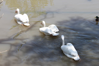 The Robertson Family: New Orleans Zoo