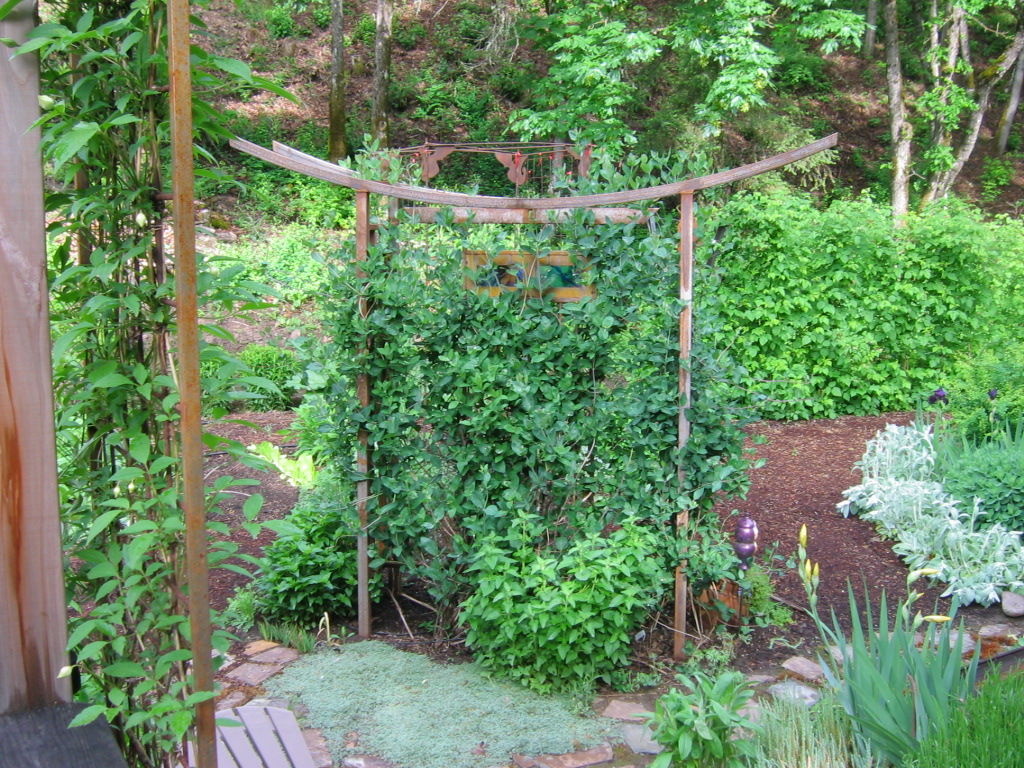 Prairie Star Designs: GARDEN TRELLISES