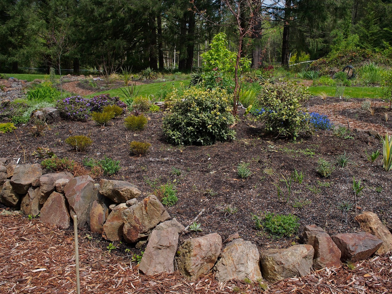 Wednesday Wide Shots