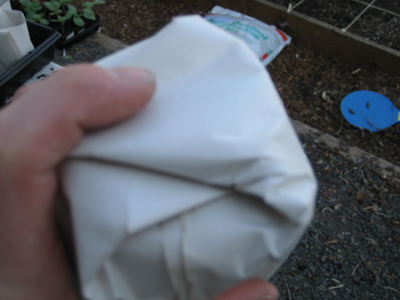 Lally: Making Newspaper Pots