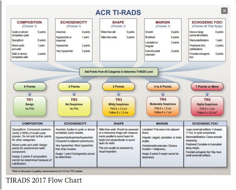 RADIOLOGIA MACARENA: calculadora TIRADS
