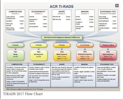 RADIOLOGIA MACARENA: calculadora TIRADS
