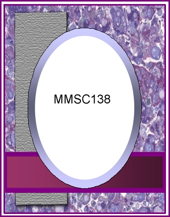 We Make Beautiful Music Together... - Cards by America