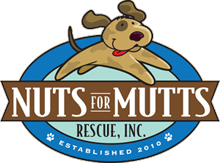 Give a dog a bone....: Extra Extra, read all about it! Nuts For Mutts ...