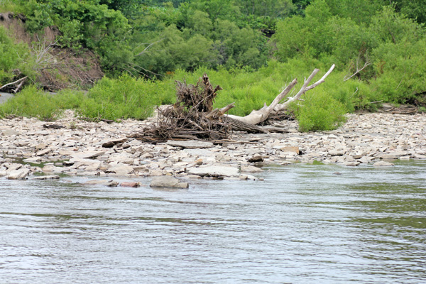 Explore Missouri: Rochester Falls Conservation Area