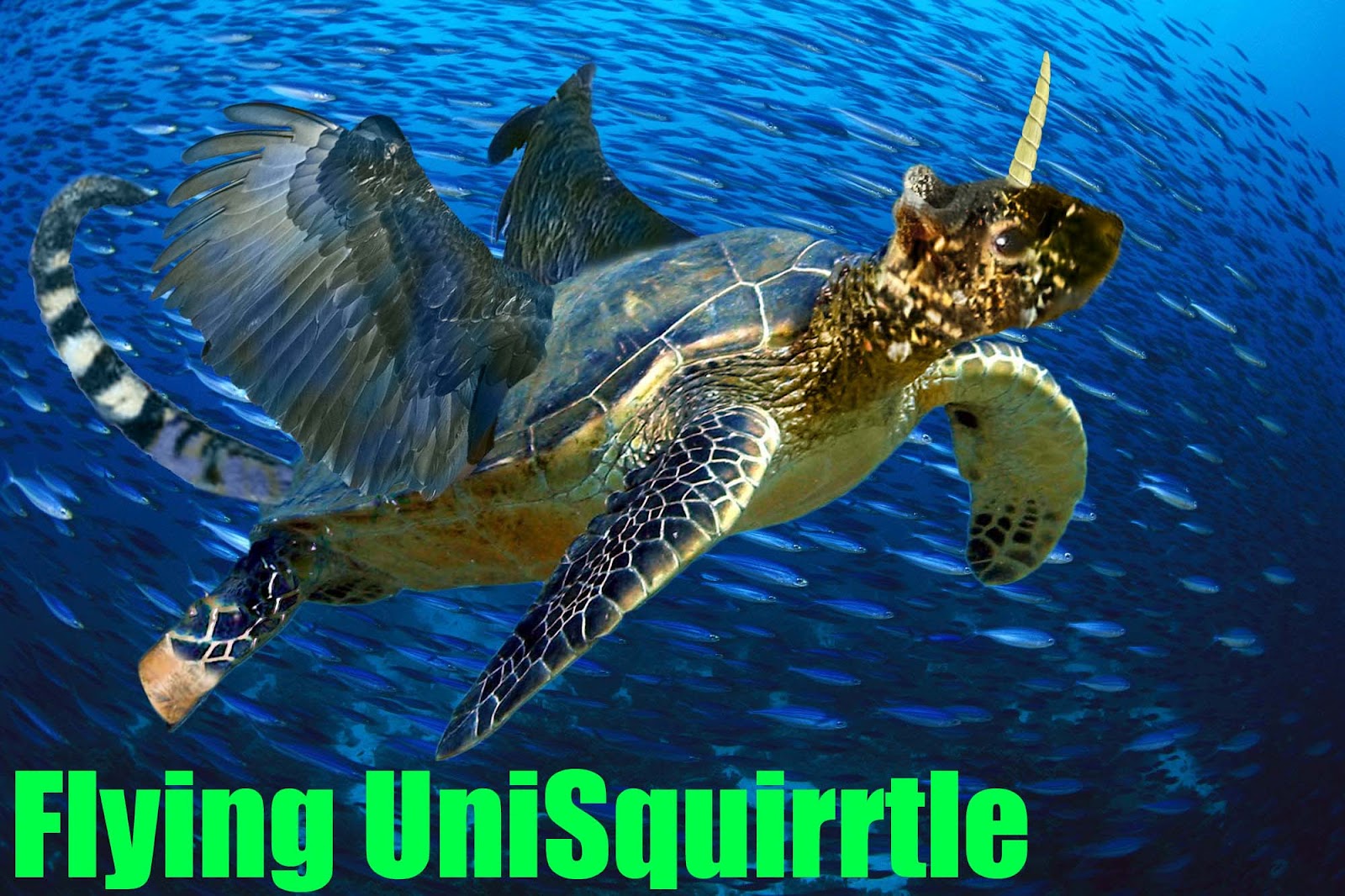 Digital Imaging: Crazy Combos