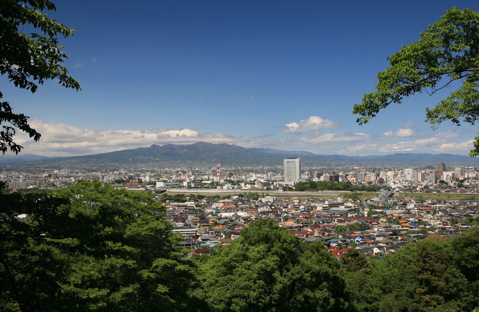 Japanese Business Expo - Takasaki Day ~ Merlion Wayfarer's Walking ...