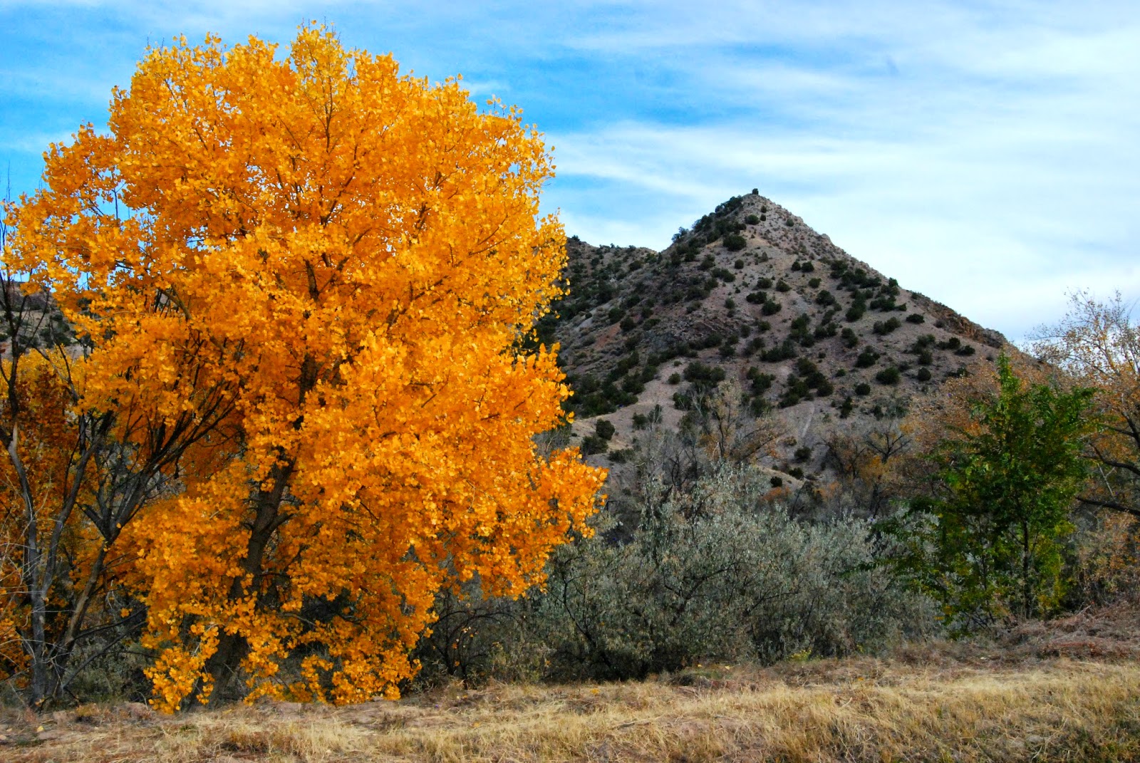 Santa Fe Daily Photo: 2014