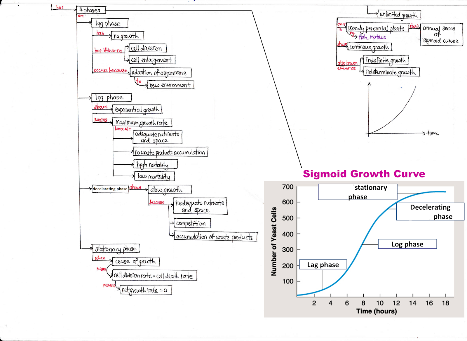 BIOLOGY is to serve mankind...: 1.9 GROWTH