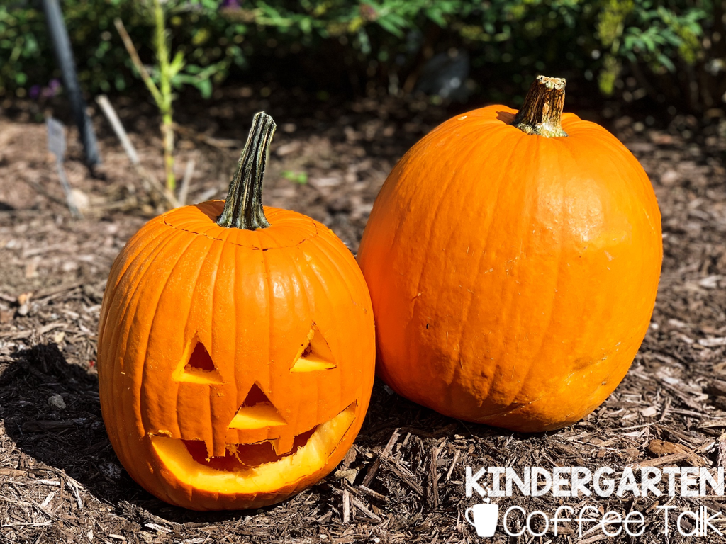 Kindergarten Coffee Talk: Apples and Pumpkins Unit