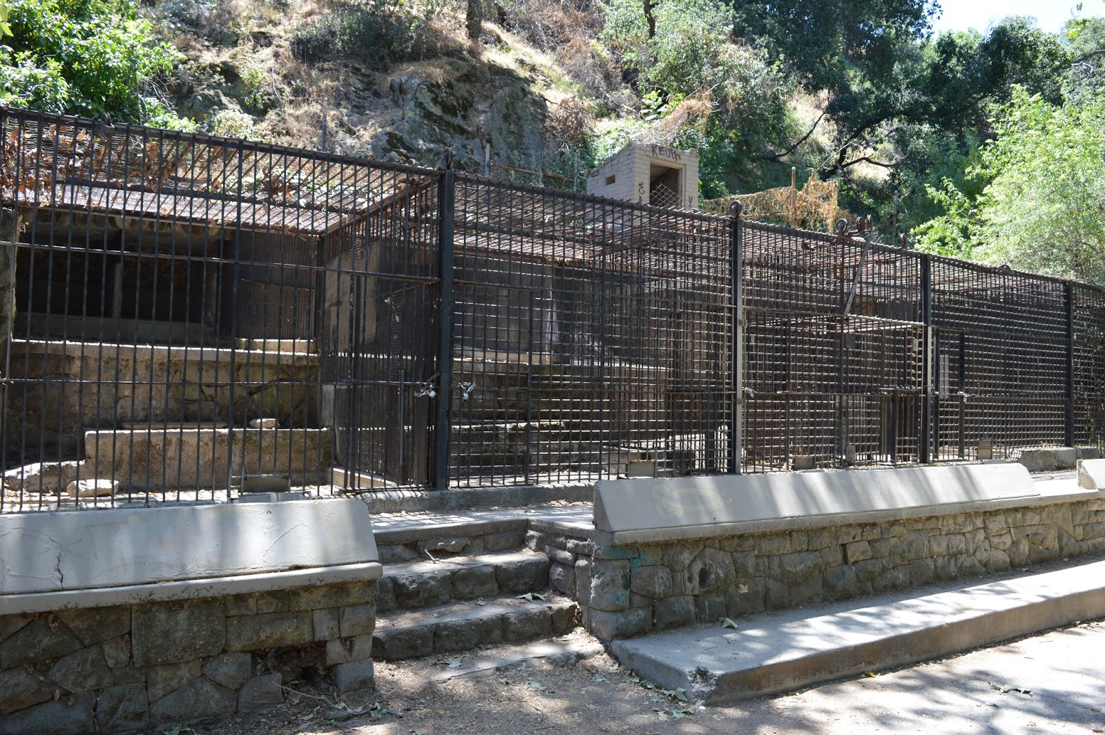 Susan's Cabinet: Abandoned Zoo