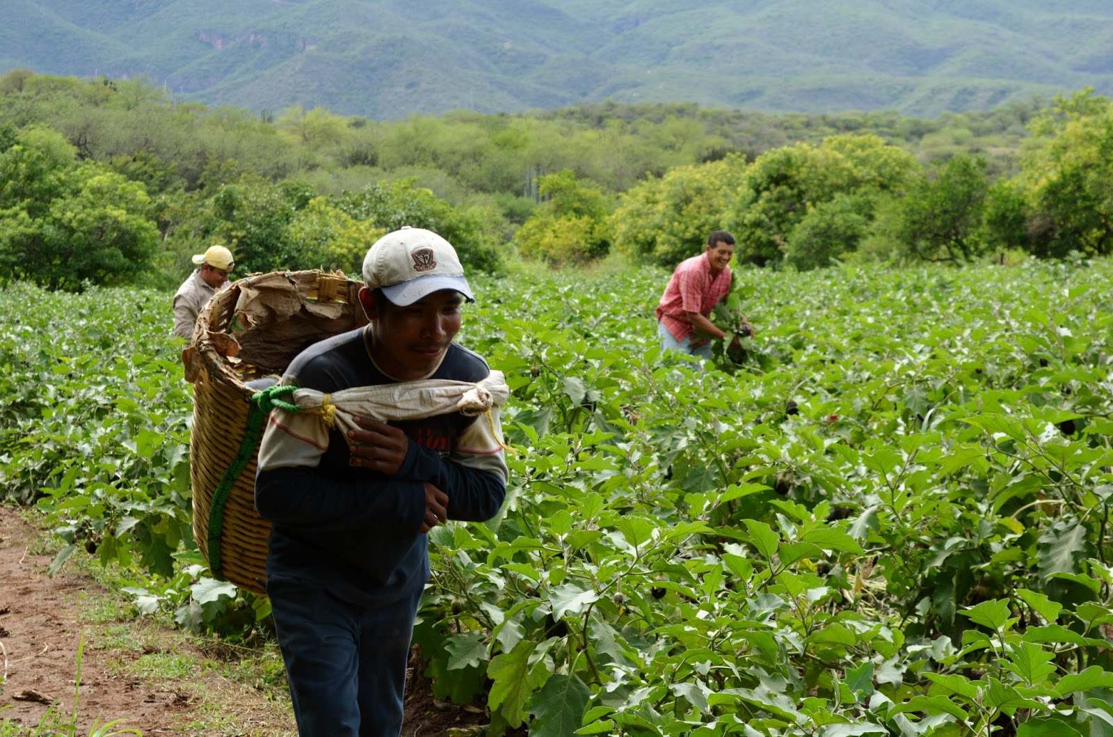 Viajes, Amor, Naturaleza y Vida : Vaije a Cuicatlán, Oaxaca, México